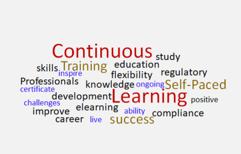 Why Continuous Professional Training is Essential for Cyprus Professionals - ICPTE (Institute of ...